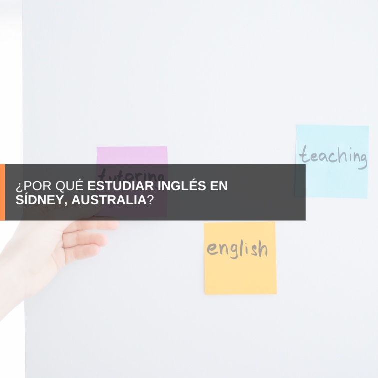 ¿Por qué estudiar inglés en Sídney, Australia? : Kangurú