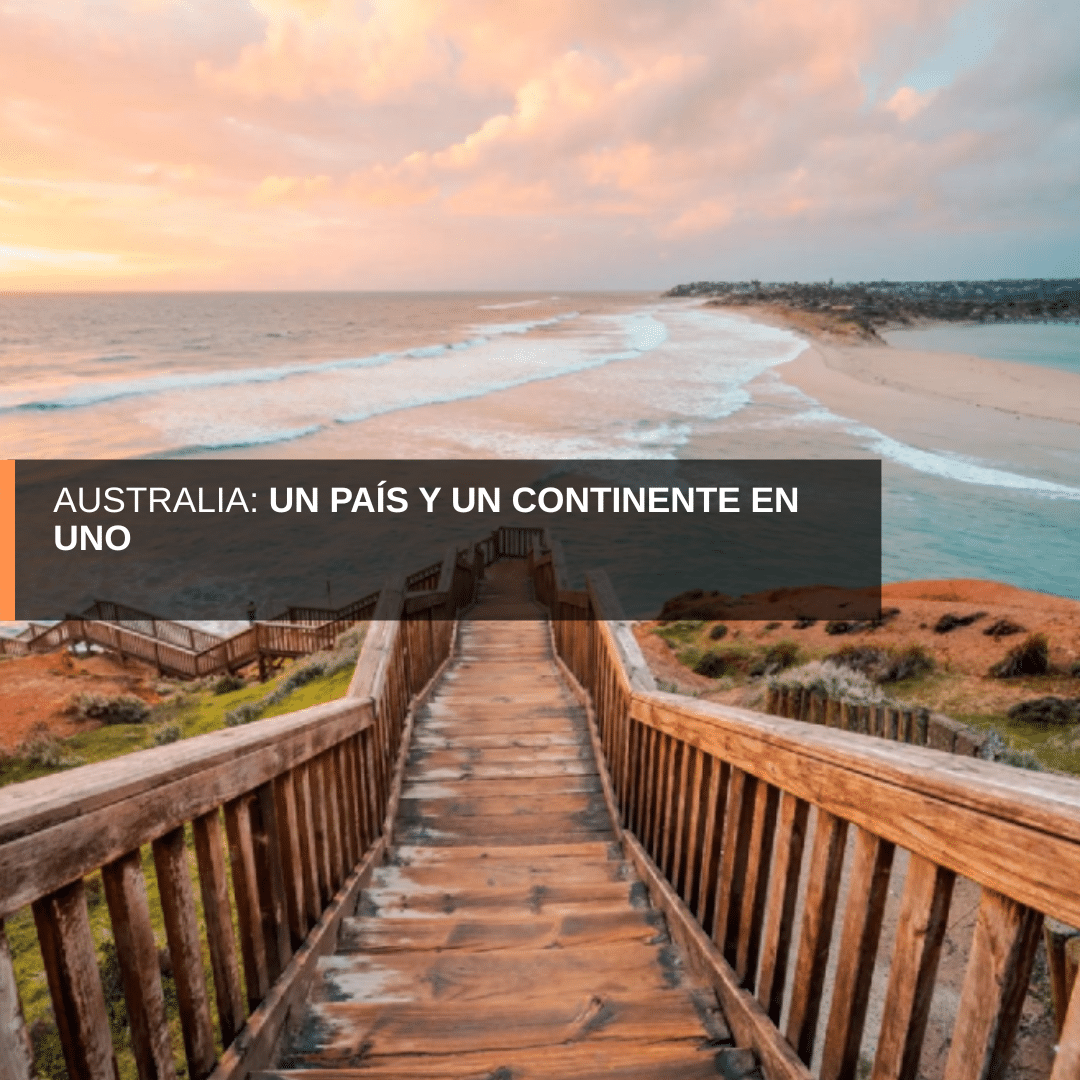 Australia: Un país y un continente en uno : Kangurú